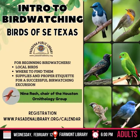 FAIRMONT: Intro to Birdwatching - Birds of SE Texas (RR) | Pasadena ...
